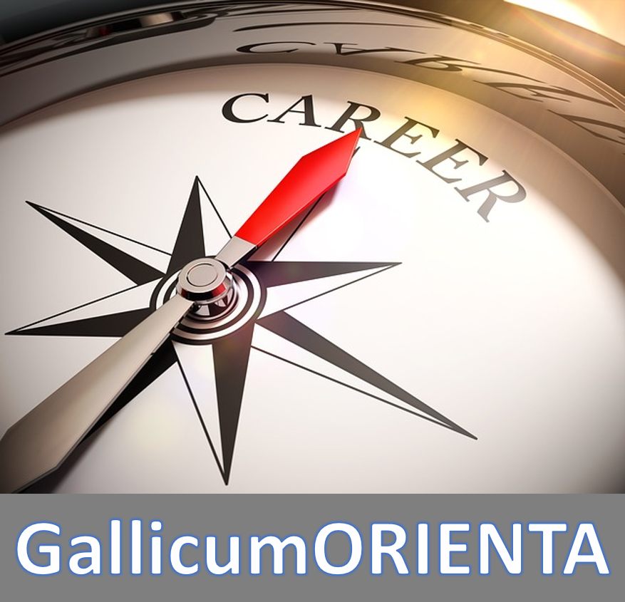 GALLICUM – IES Gallicum Zuera